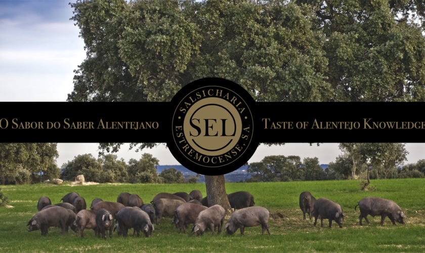 SEL e Universidade de Évora estabelecem protocolo