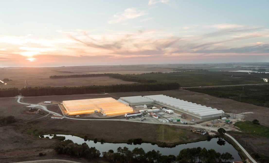 Clever Leaves duplica capacidade de produção em Odemira